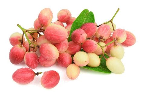 Koromcha Fruit Deshi Precious Fruits Of Bangladesh Koromcha Fruits And Its Ingredients