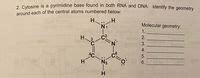 Answered Cytosine Is A Pyrimidine Base Found Bartleby