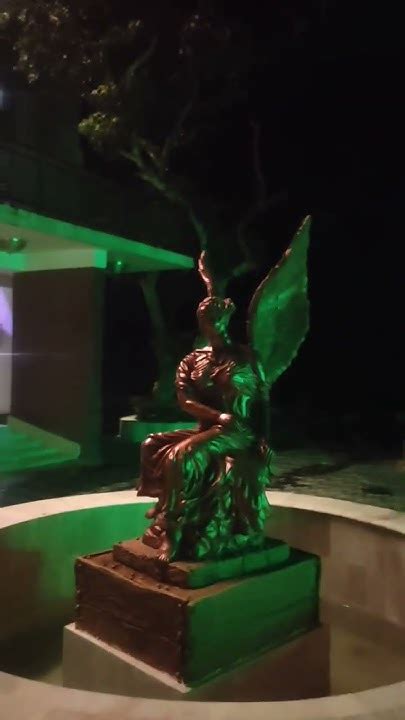 শ্রীমঙ্গল লেমন গার্ডেন 🥰🖤🍒 Youtube