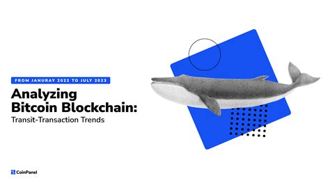analyzing bitcoin blockchain transit transaction trends coinpanel blog