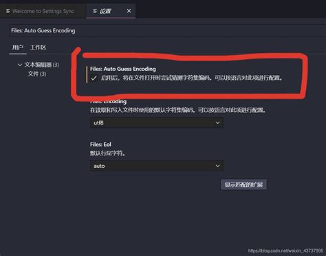 Vscode设置语言为中文，并且解决中文注释乱码问题。vscode修改中文编码 Csdn博客