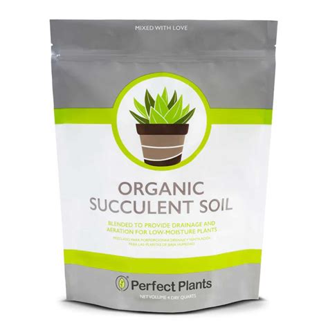Quel Sol Utiliser Pour Les Plantes Succulentes Conseils Dexperts