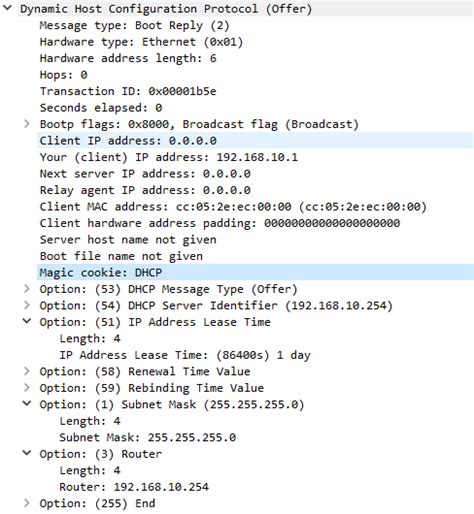 Dhcp Process Explained Step By Step Configuration Example Learn Duty