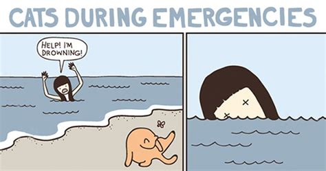 113 Hilarious Comics That Perfectly Capture Life With Cats Cat Vs