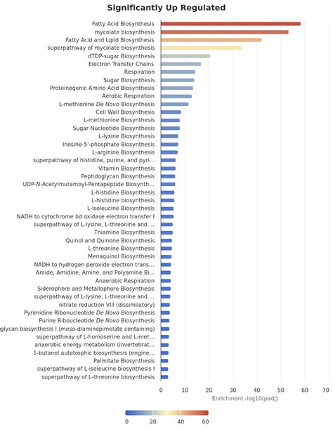 New Ergo Feature Metacycecocycbiocyc Pathway Database Integration