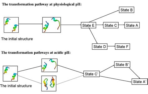 The Possible Transformation Pathways Download Scientific Diagram