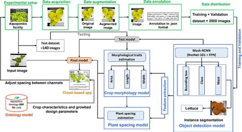 Research Methodology For Estimating The Morphological Traits And Download Scientific Diagram