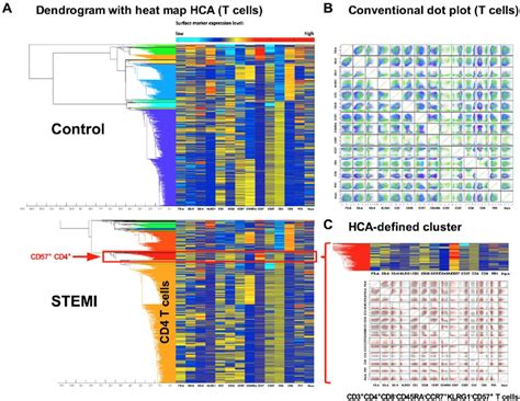 Hierarchical Clustering Analysis Of 13 Parameter Flow Cytometry Data Download Scientific