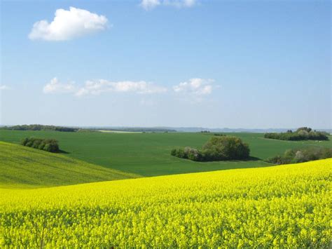 Belle campagne