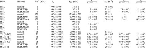 Summary Of The Tf Binding Equilibrium And Nucleosome Unwrapping