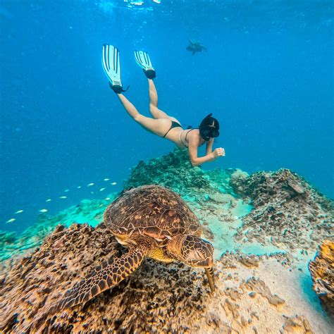 Snorkel Cook Islands Added A New Snorkel Cook Islands