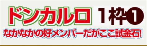 【ドンカルロ】芝初挑戦で新境地を拓けるか アラカン優優の一口馬主ライフ