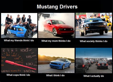 The Best Ford Mustang Memes 7th Gen 2024 S650 Mustang Forum