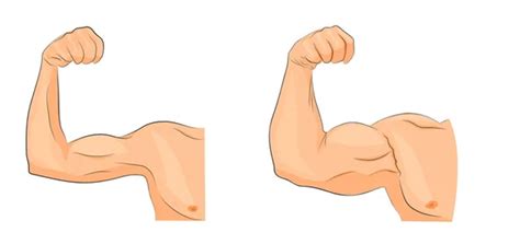 Can Training Modify Residual Force Enhancement And Residual Force