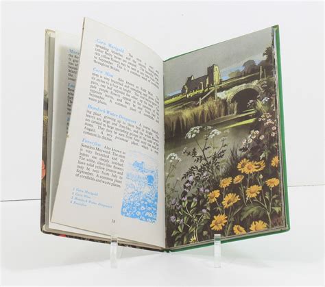 British Wild Flowers Ladybird Book Etsy