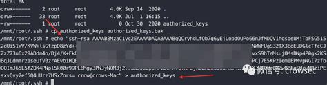 Docker Api未授权漏洞复现 阿里云开发者社区