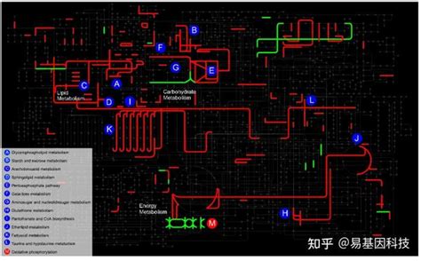 易基因｜dna甲基化研究的测序数据挖掘思路：干货分享 知乎