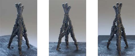 Result Of Complex Branching Experiment Testing Different Branching And Download Scientific