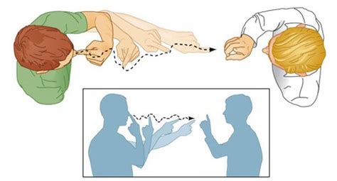 Tremor Types Flashcards Quizlet