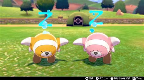 ケンカ中のヌイコグマも可愛い Pokémon Charts