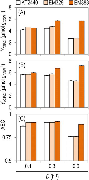Genome Reduction Boosts Heterologous Gene Expression In Pseudomonas