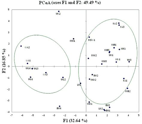 Principal Co Ordinate Analysis Pcoa Analysis Based On Combined Ssr