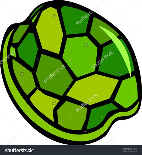 Tortoise Shell Vector At Collection Of Tortoise Shell