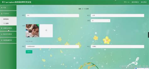 Springbootvue基于springboot的校园招聘管理系统【开题程序论文】 Csdn博客