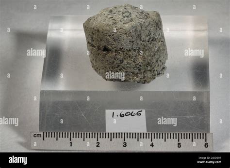 Linnaeite Minerals Africa Zambia Mufulira Chibuluma Mine Stock