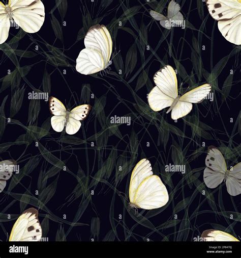 Watercolor Seamless Pattern Of Flying White Butterflies Isolated On