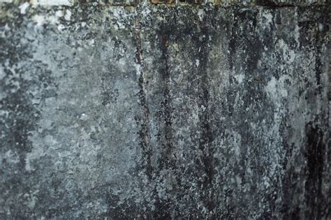 A Damp Concrete Wall Covered In Wide Patches Of Black Mold With Cracks