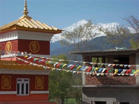 Dharamsala Half Day Sightseeing Tour Getyourguide