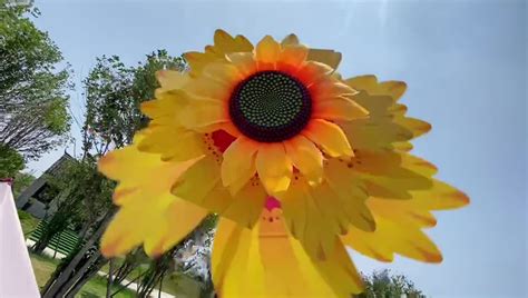 [video] Xiaohui Gu Posted On Linkedin