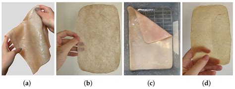 Bacterial Cellulose Production Within A Circular Economy Framework