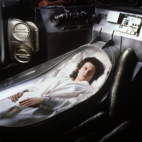 Scientists Think Humans May One Day Be Able To Hibernate Science Of Us