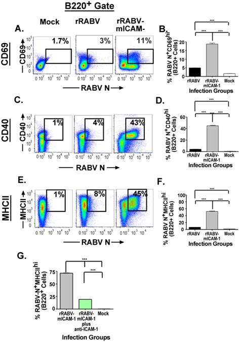 The Infected Splenocyte Cultures Described In Figure 3 Were Analyzed