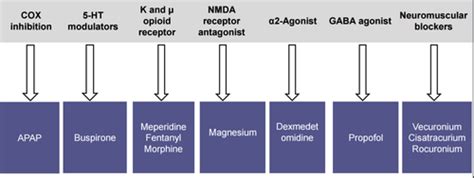 Neurology Boot Camp Flashcards Quizlet