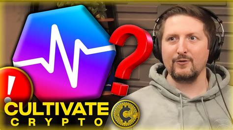 Whats Up With Pulsechain Here Youtube