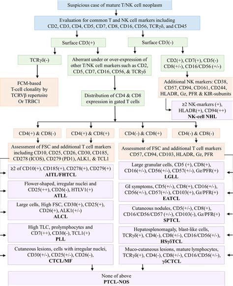 Flowchart Demonstrates An Immunophenotypic Approach For Assessing