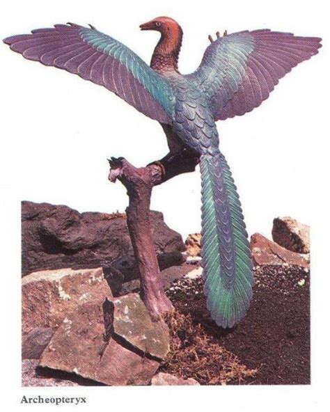 Triassic ∆ Jurassic ∆ Cretaceous