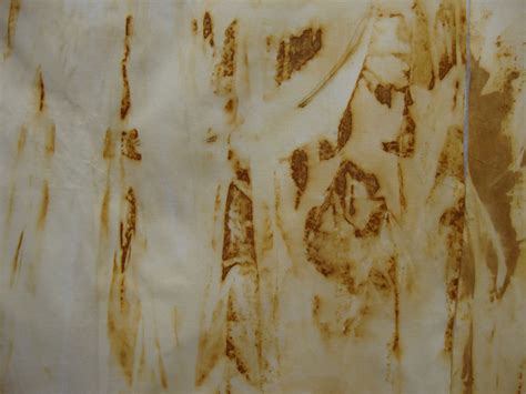 Terry Jarrard Dimond Studio Rust On Fabric
