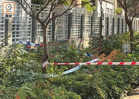 東涌藍天海岸老婦墮樓 倒臥草叢當場身亡 Oncc 東網 Line Today