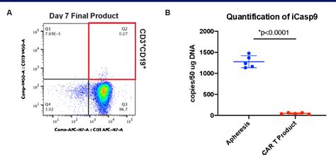 Figure 4 From Identification Of Dual Positive Cd19cd3 T Cells In A