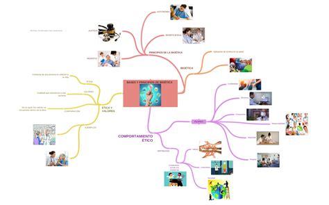 Bases Y Principios De BioÉtica Bioetica Ética Y Valores Ejemplos