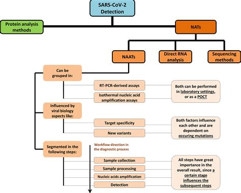 Nucleic Acid Amplification Test Vs Pcr At Ben Vincent Blog