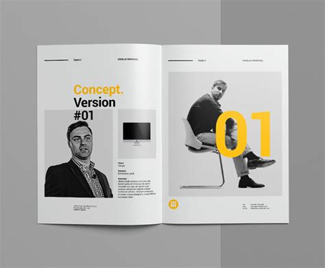 Overlay Proposal Behance