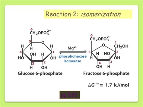 Carbohydrate Metabolism Ppt Download