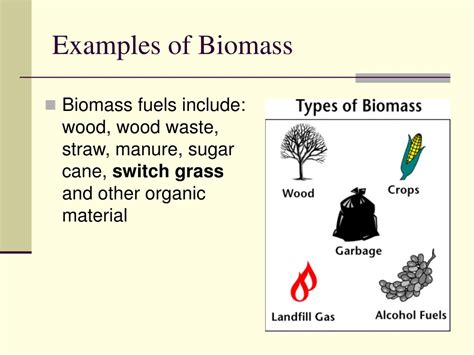 Ppt Biomass Fuel Powerpoint Presentation Free Download Id1753576