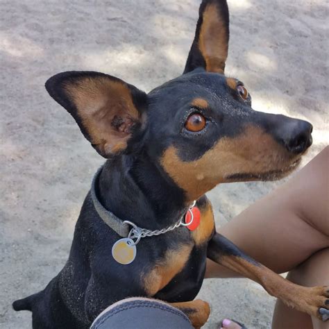 Missing The Beach Scrolller