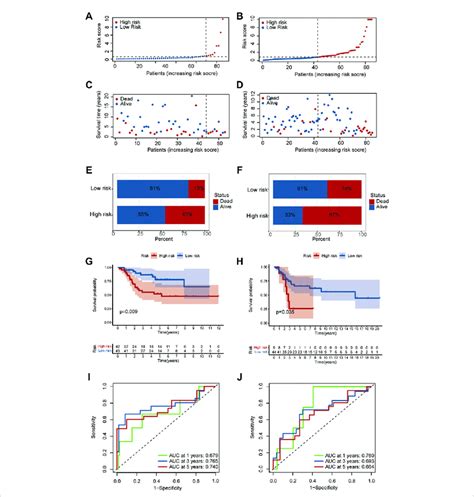 Predictive Ability Of The Hypoxia Risk Model In Os Ac Distribution